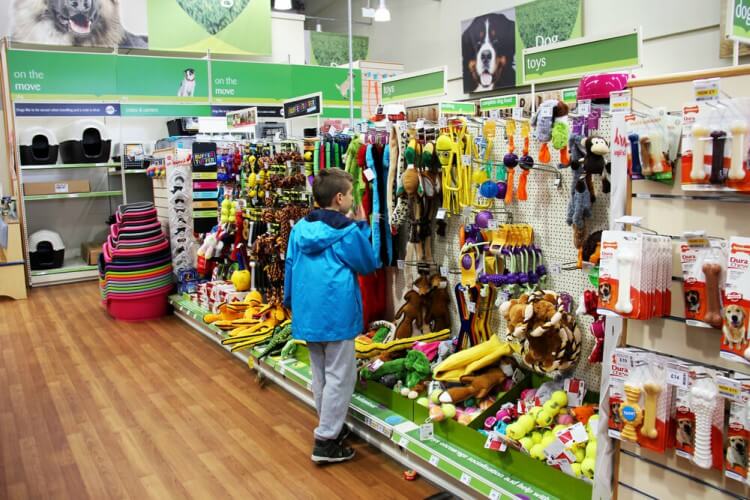 5 Dicas De Como Montar Um Pet Shop Blog Da Raizler